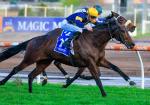 Novara Park Stud | Waikato, New Zealand
